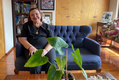 Tessy López, la pionera en nanomedicina catalítica que entiende el ...